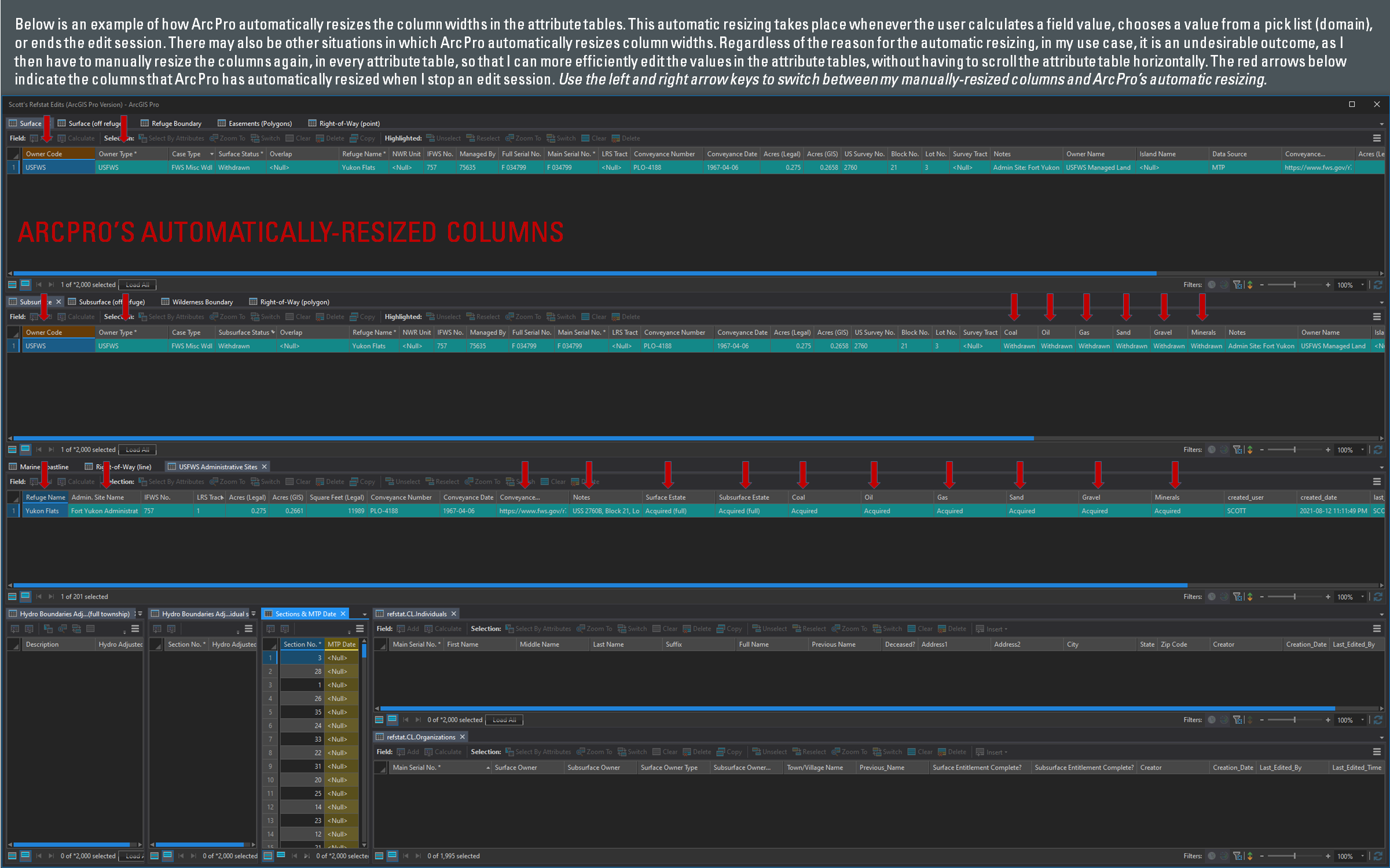 Allow the user to turn off automatic resizing of c... - Esri Community