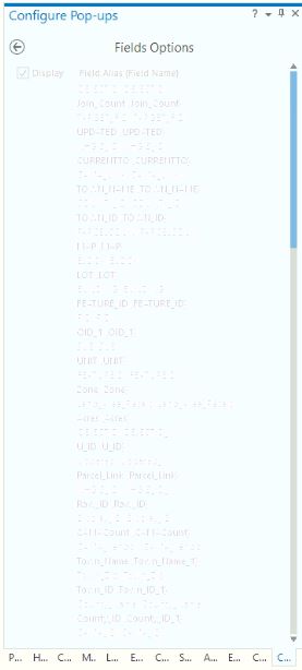 Change Configure Pop-Ups Field Options Layout - Esri Community