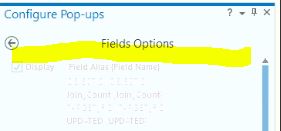 Change Configure Pop-Ups Field Options Layout - Esri Community
