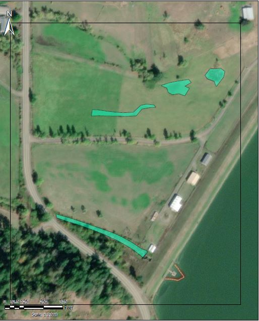 Solved: Map Series Best Fit Extent Issue - Esri Community