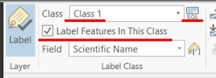 Solved: Most labels are not showing for a feature layer - Esri Community