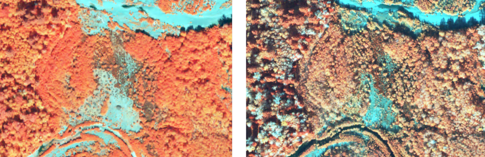 Differences in Infrared NAIP Imagery 2017-2019 - Esri Community