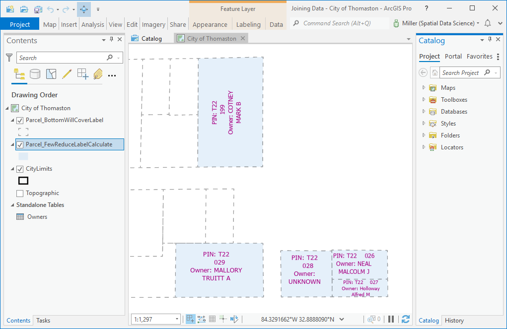 Labels do not display in ArcGIS Pro - Esri Community