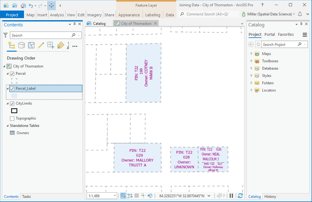 Labels showing through layers - Esri Community