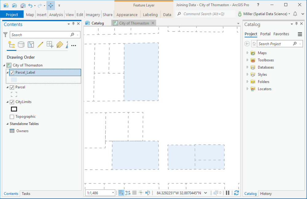 Labels showing through layers - Esri Community