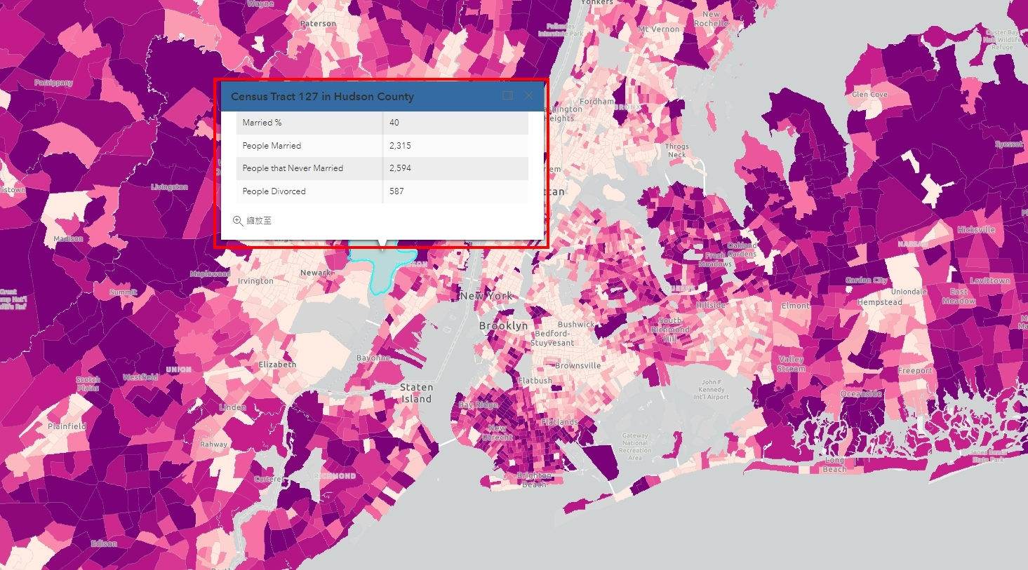 Custom PopupTemplate - Esri Community