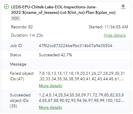 Report Engine Error - Esri Community