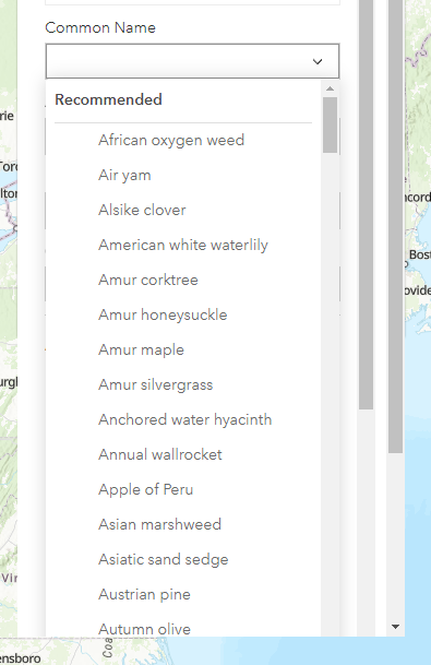 Resizing drop-down in feature form? - Esri Community