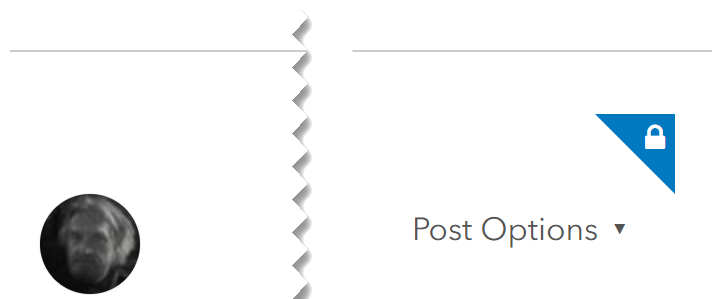 Solved: What does the lock symbol mean in a blog post? - Esri Community