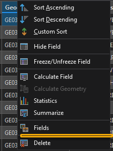 Show field level metadata from the attribute table - Esri Community