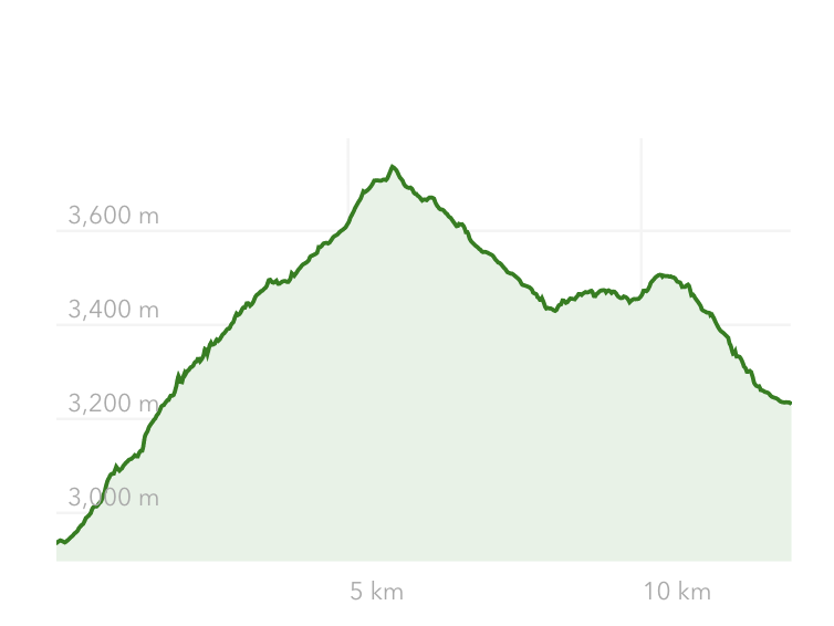 ElevationProfile chart without the widget - Esri Community