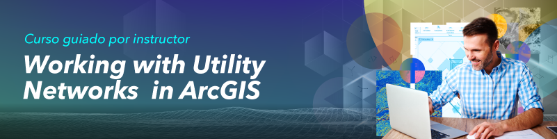 [Curso] Trabajando con Utility Network en ArcGIS - Esri Community