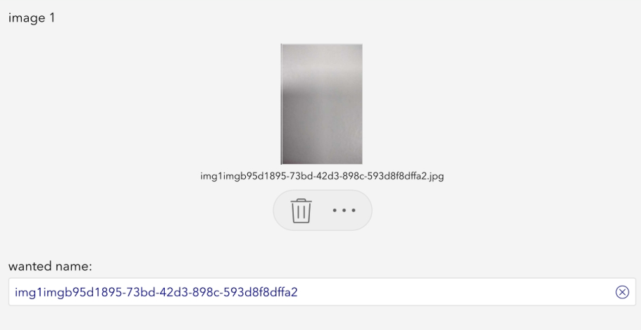 Solved: Renaming images in bind::esri:parameters not wor... - Esri Community