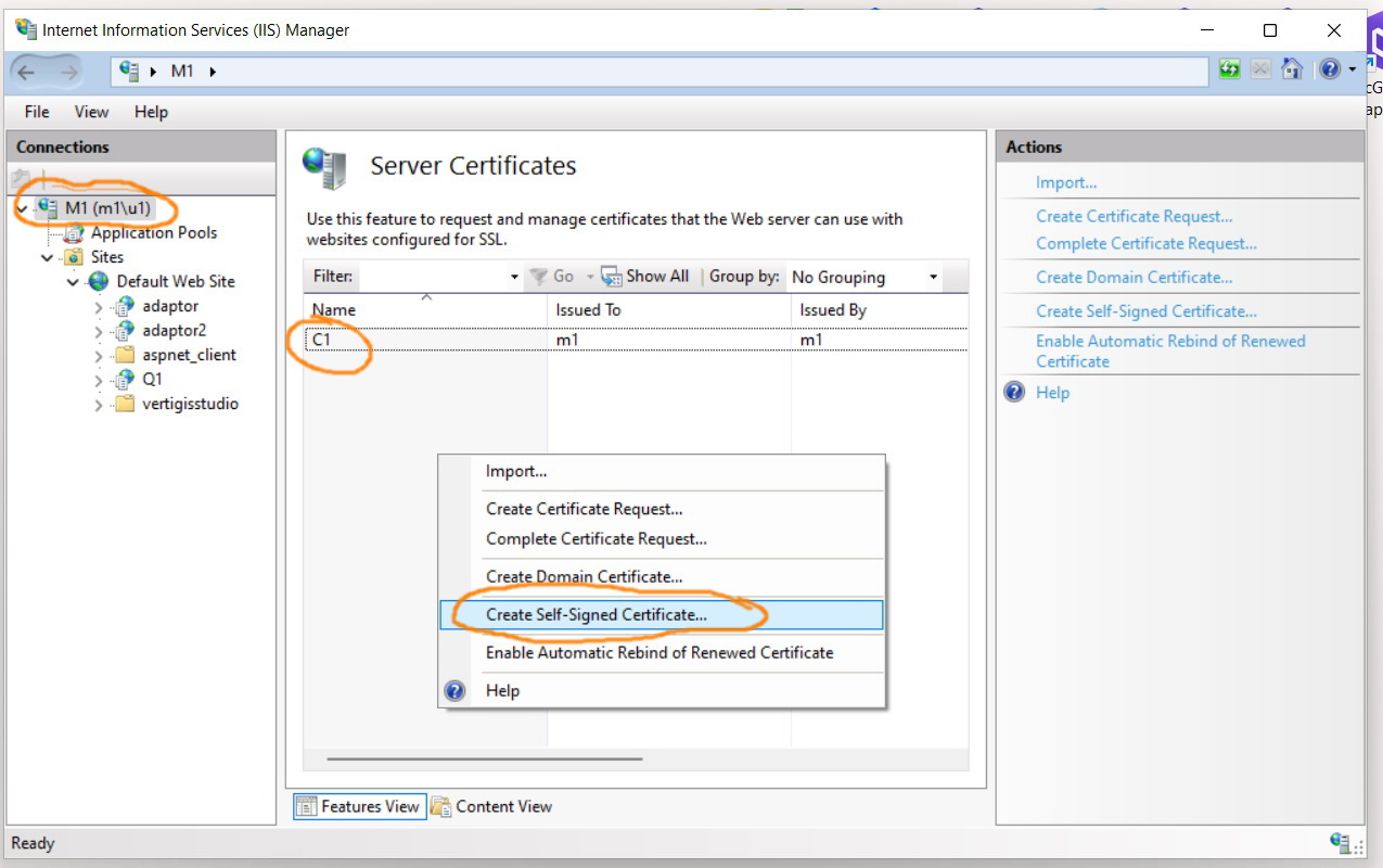Solved: ArcGIS Enterprise 11.0: Configuring web adaptor fo... - Esri ...