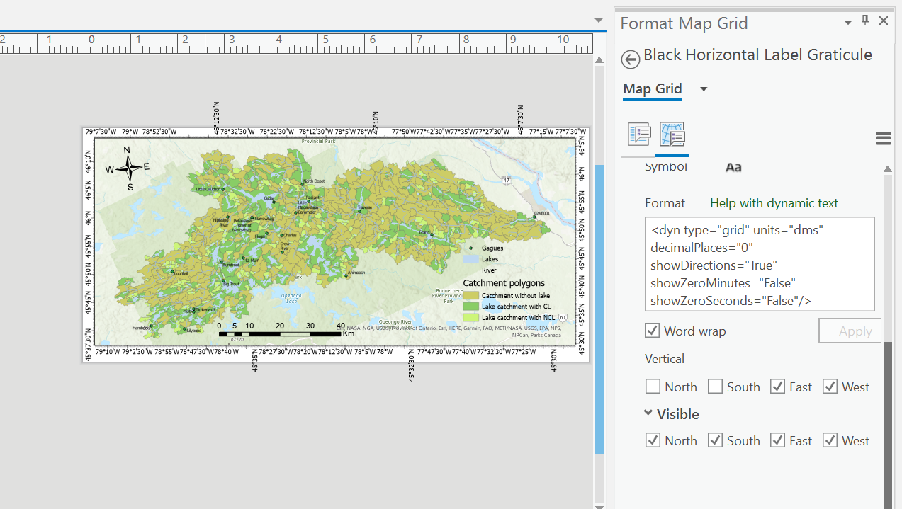 Solved: Weird grids label - Esri Community