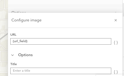 Pop-up configuration - Esri Community