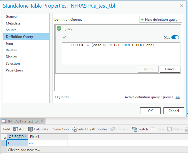 CASE Statements in Definition Query - Esri Community