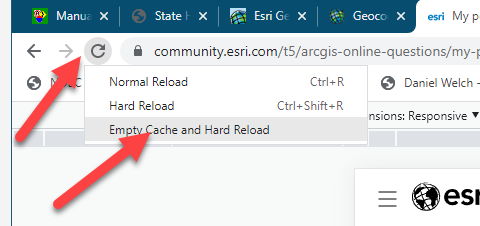 My portal dashboard is showing different formats i... - Esri Community