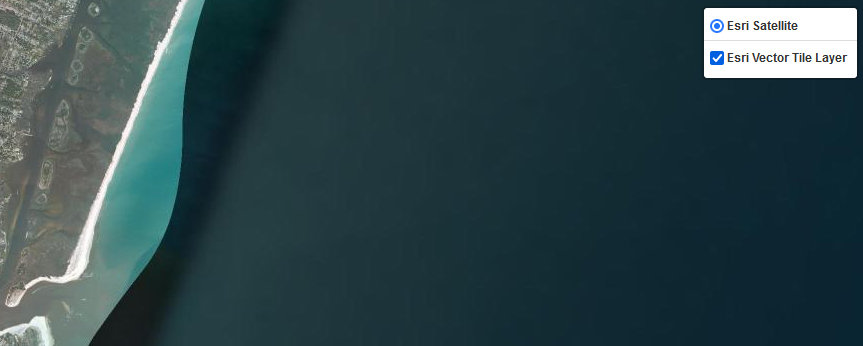 Adding Reference Layer over World Imagery Basemap ... - Esri Community