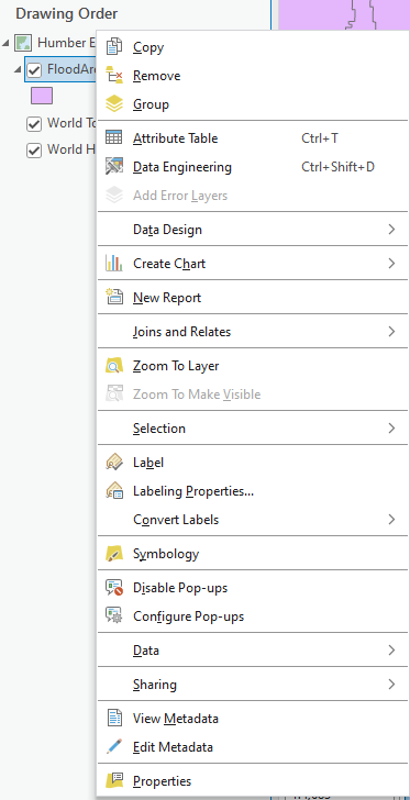 Implement right-click menu single-key accelerators... - Esri Community