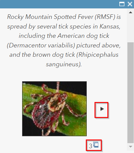 Update Near Me Widget to respect Map Viewer pop-up... - Esri Community