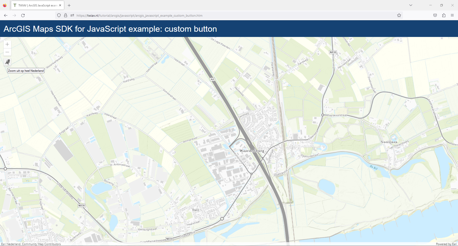 ArcGIS Maps SDK for JavaScript example: custom but... - Esri Community