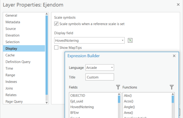 Solved: Change display field expression using ArcPy - Esri Community