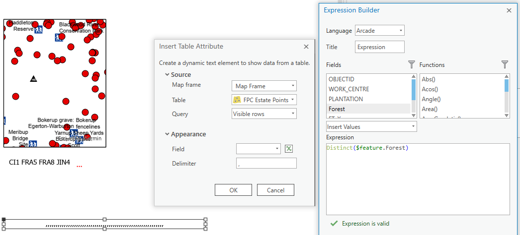 Arcade function to show unique values (remove dupl... - Esri Community