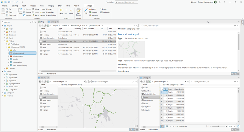 Multi-window preview in ArcCatalog - Esri Community