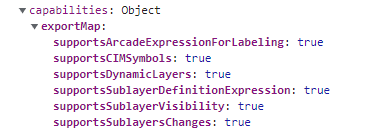 ESRI JS 4.x TileLayer() Capabilities Property - Esri Community