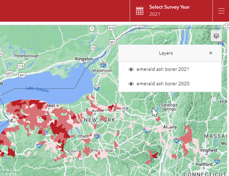 Layer Visibility and Selectors - Esri Community
