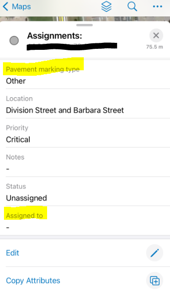 attribute expressions not honoured in Field Maps a... - Esri Community