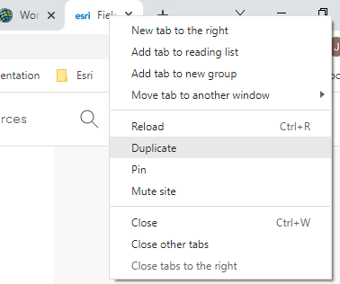 Solved: Field Maps Designer won't save form changes - Esri Community