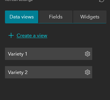 Summarize Data Widget in Experience Builder - Esri Community