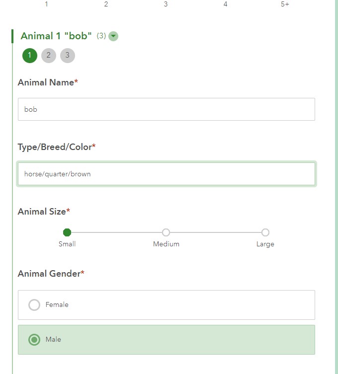 Public form not showing error messages - Esri Community
