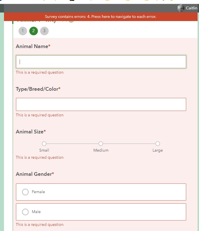 Public form not showing error messages - Esri Community