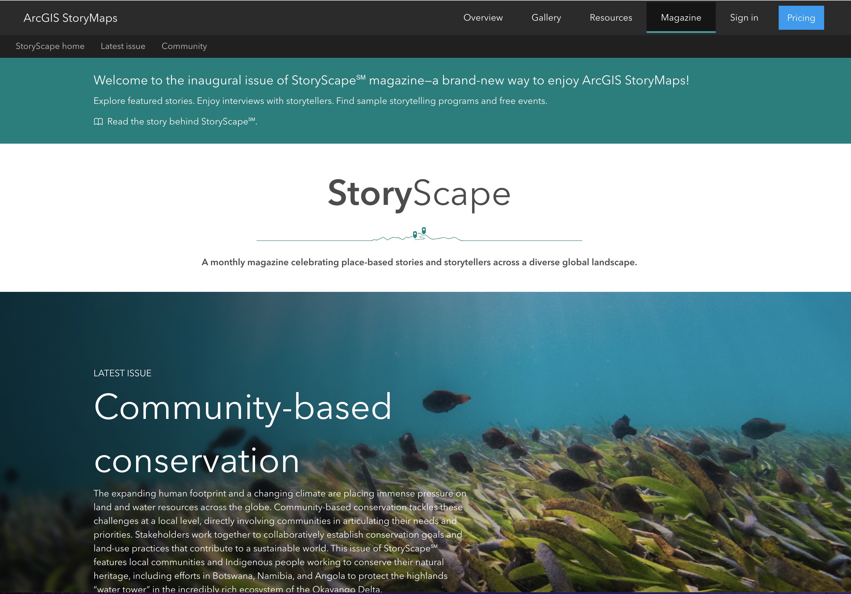 Options for StoryMaps gallery - ArcGIS online - Esri Community