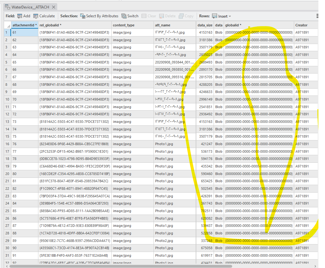Solved: error when apply Assets package to Geodatabase - Esri Community