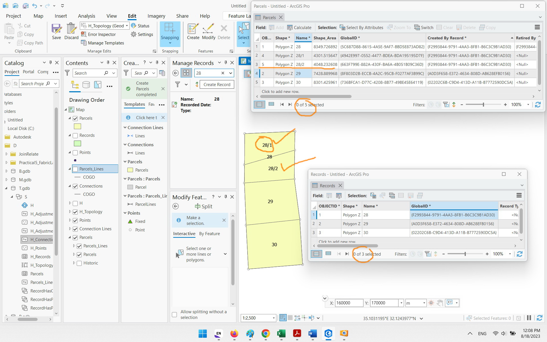 ArcGIS Pro 3.1.0: How to update the records layer ... - Esri Community