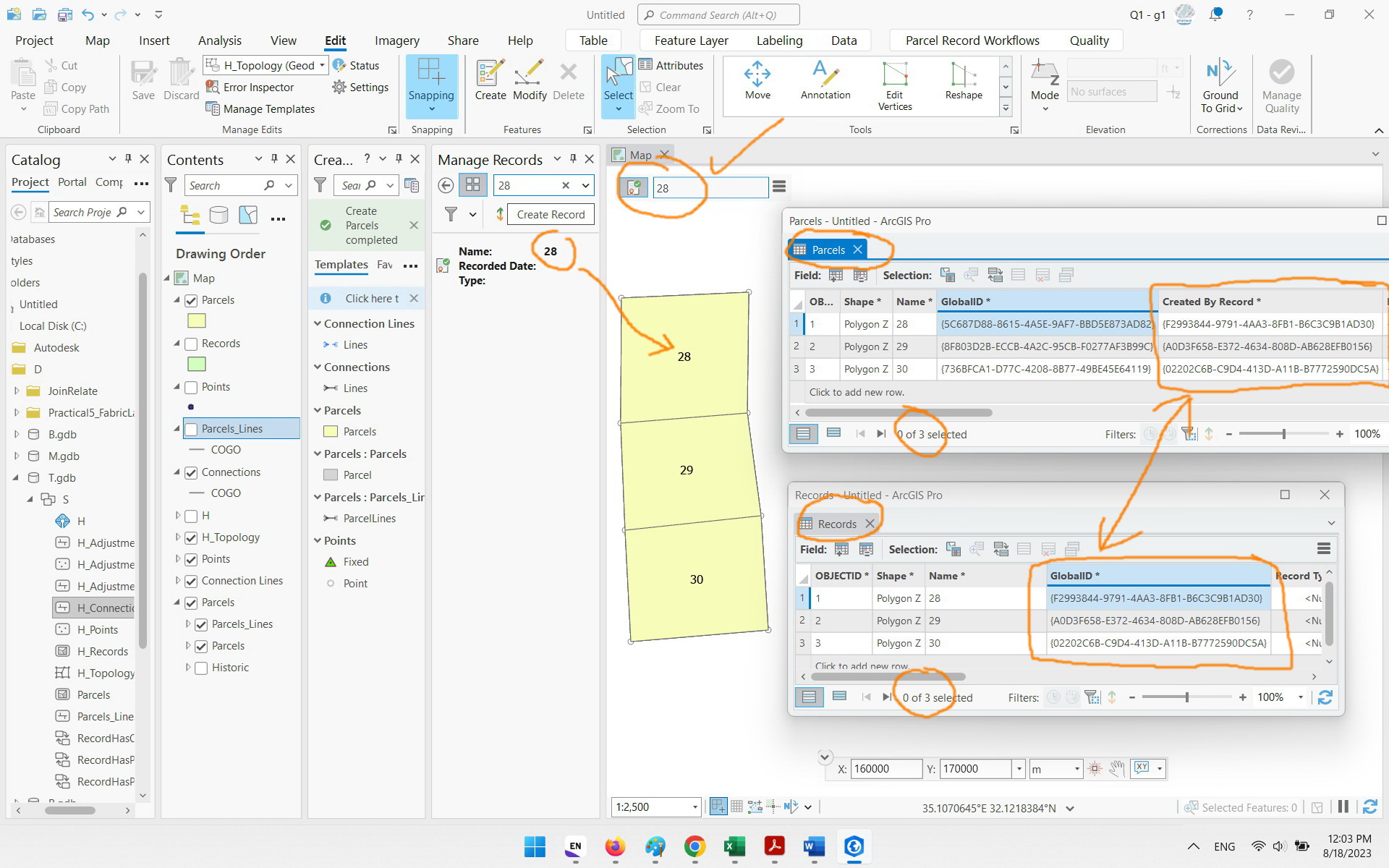 ArcGIS Pro 3.1.0: How to update the records layer ... - Esri Community