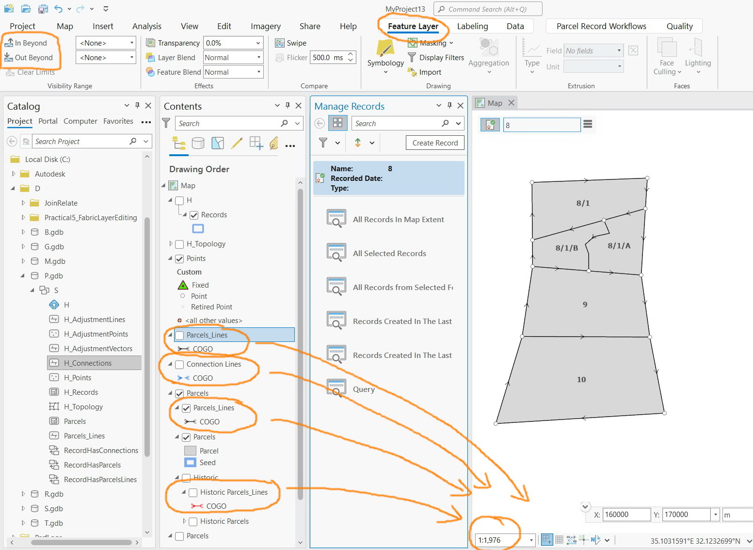 Solved: ArcGIS Pro 3.1.0: How does the symbology of fabric... - Esri ...