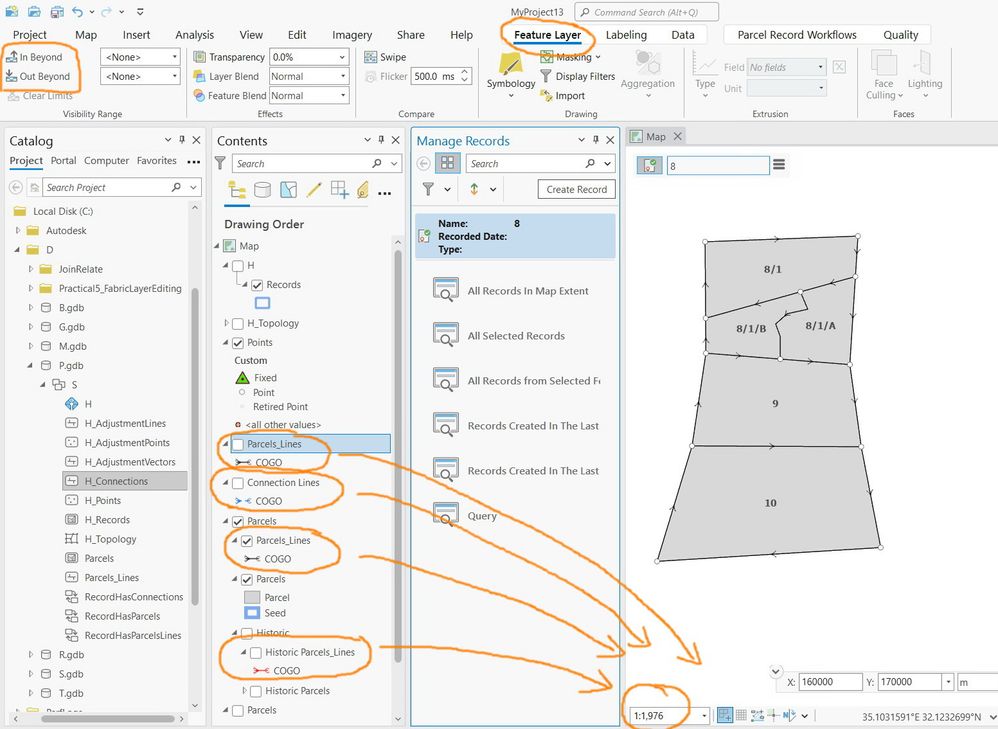Solved: ArcGIS Pro 3.1.0: How does the symbology of fabric... - Esri ...