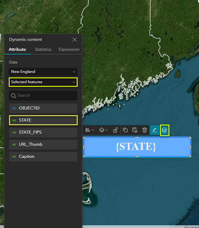 Solved: Dynamic Text From Polygon Selection on Map - Esri Community
