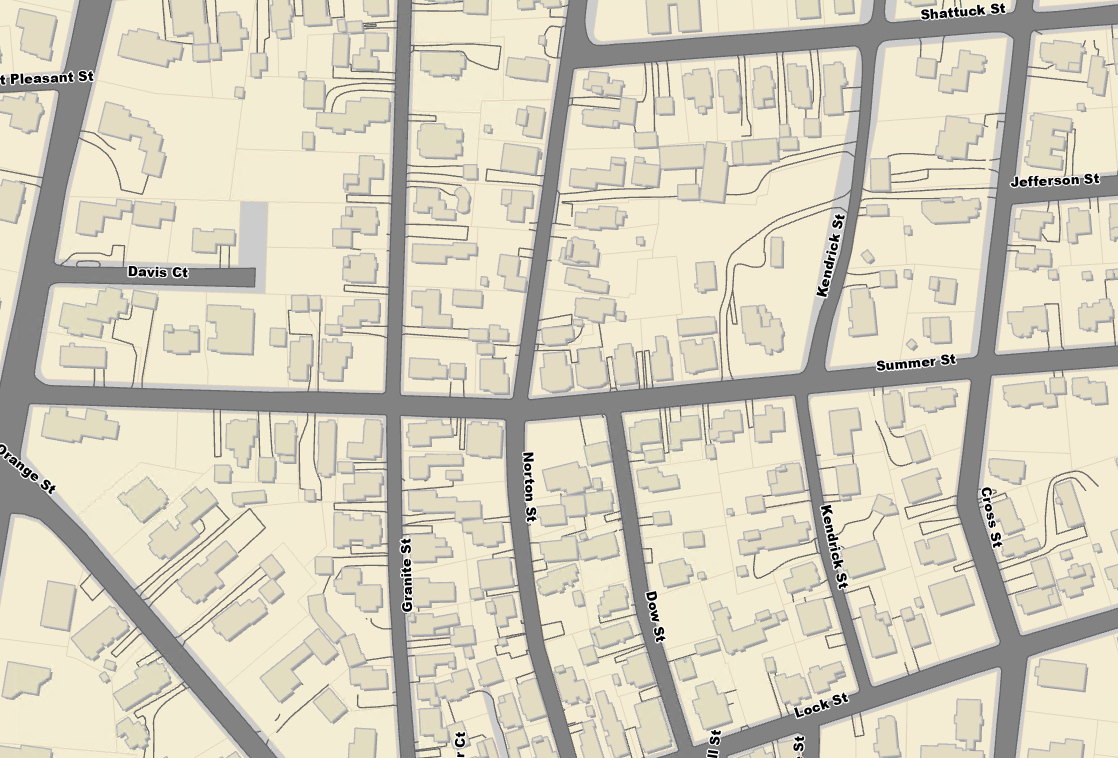Vector Tiles Many Duplicate Labels at High Zoom - Esri Community