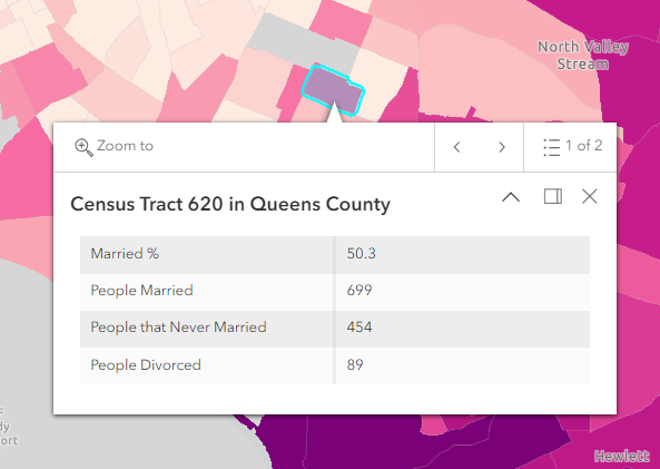 Solved: PopupTemplate filedsinfo give more that multiple p... - Esri Community