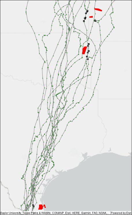Enriching point data in GeoAnalytics Engine - Esri Community