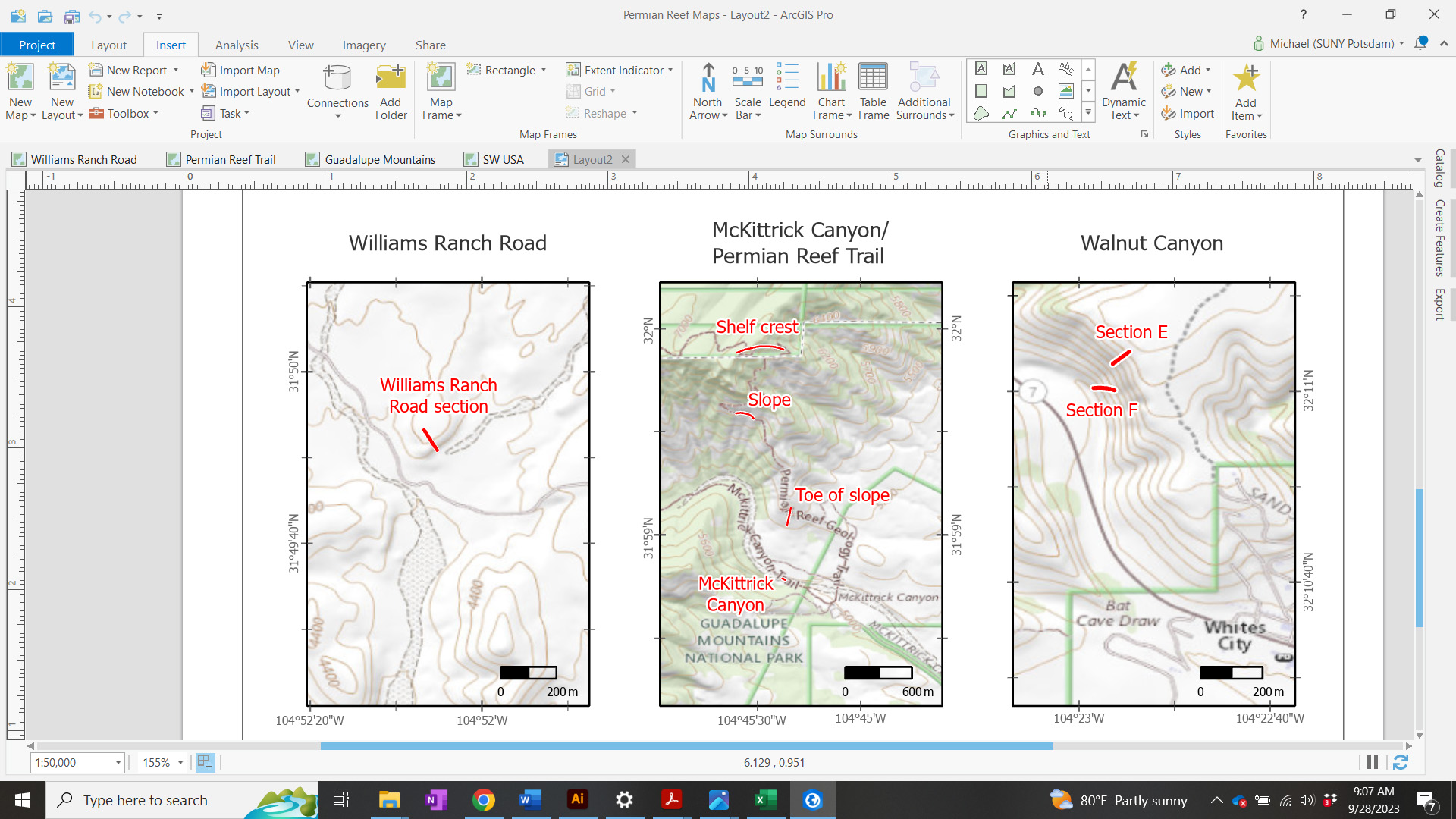 Basemap shown in layout changes when exported to j... - Esri Community