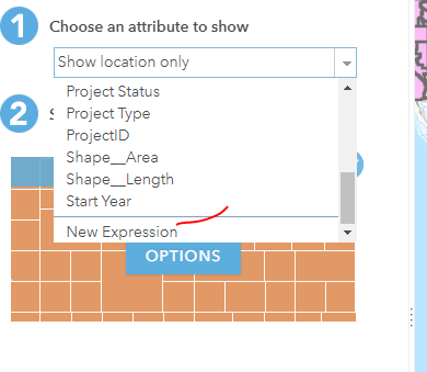 Emojis in labels not rendering correctly - Esri Community