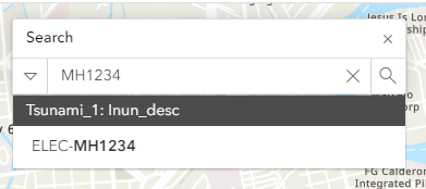 ExB full-text search algorithm should consider a h... - Esri Community