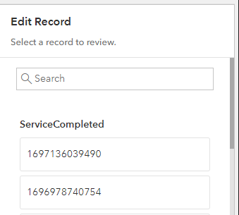 Edit Record widget - how to change default display... - Esri Community